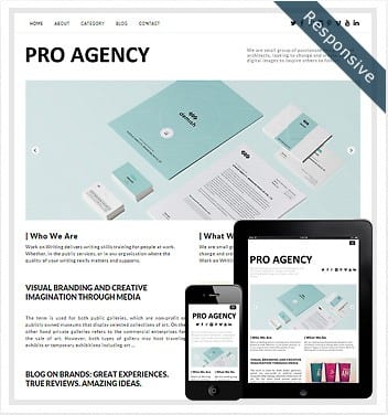 Best Premium WordPress Themes | Pro WP Themes